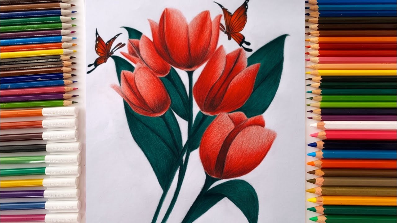 Drawing realistic Tulip Flowers - YouTube