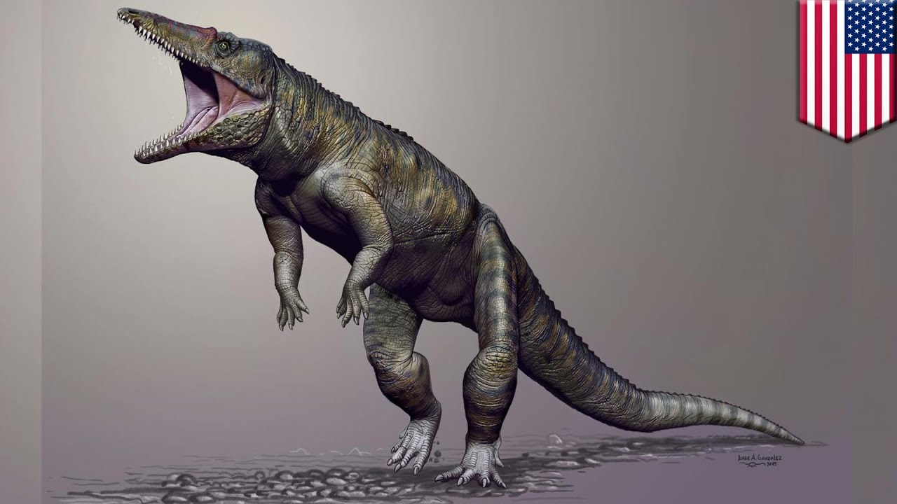 Carolina butcher: upright walking crocodile fossil discovered in North ...