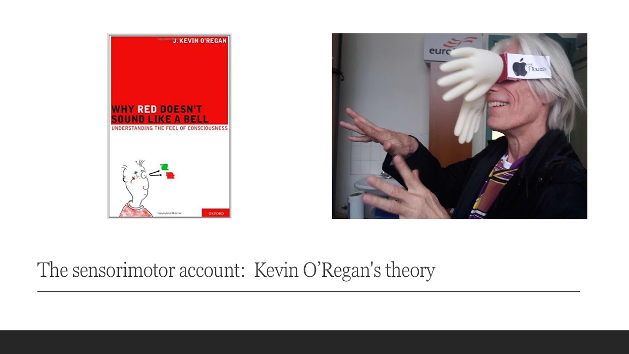 How the neuroprosthetic hand shapes the embodied perception (Pitch ...