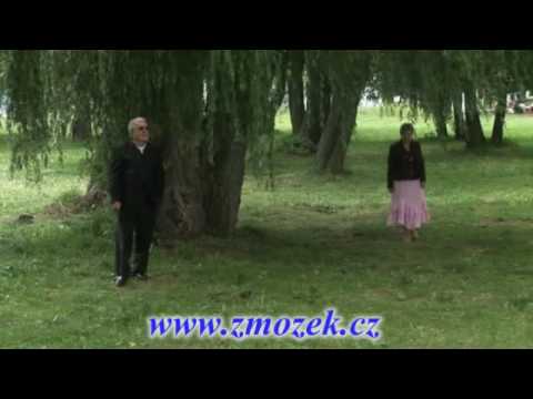 Kousek cesty s Tebou (www.zmozek.cz)