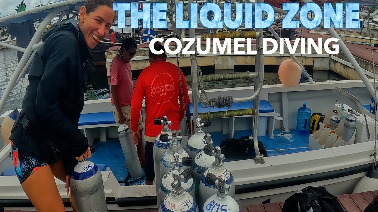 THE LIQUID ZONE COZUMEL DIVING - YouTube