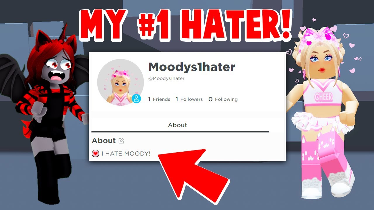 I Have A New Insane Hater Roblox Youtube