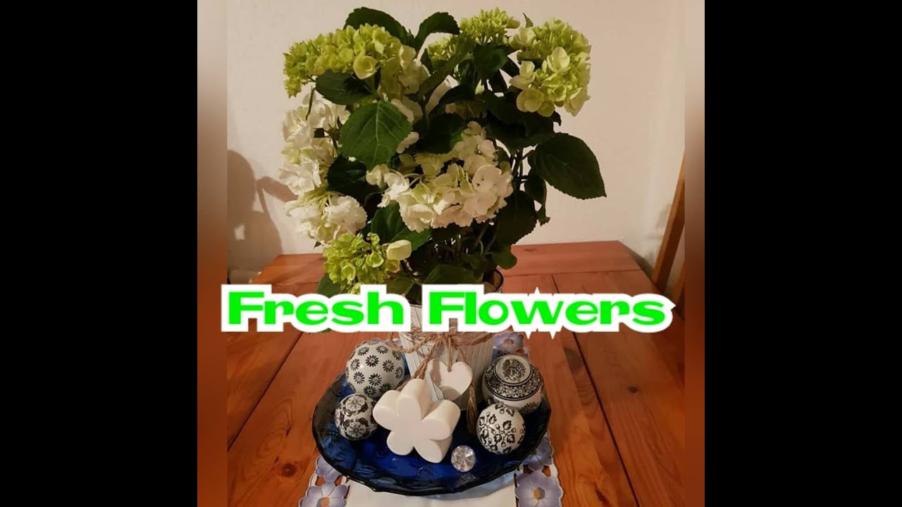 Maganda talaga na may fresh flowers palagi sa loob ng bahay🏡 - YouTube