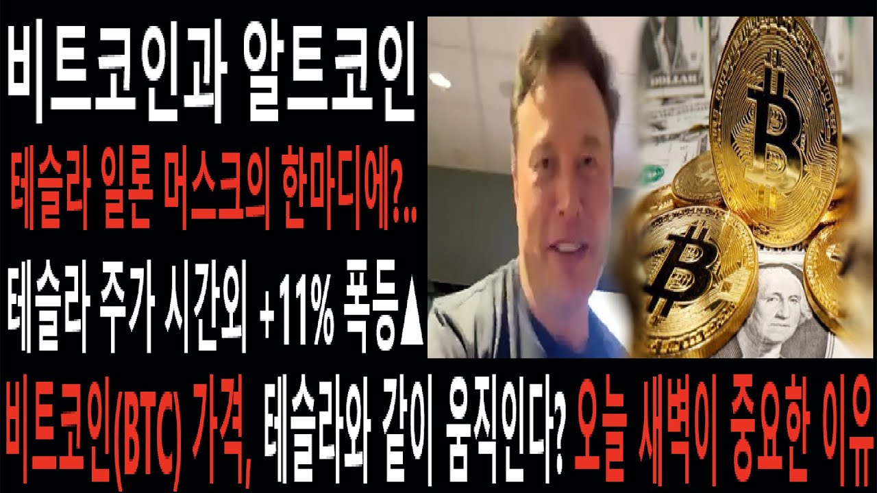 미국 테슬라 시간외 폭등 비트코인과 알트코인이 같이 상승할 수 있다 일론머스크의 한마디에 움직이는 비트코인과 알트코인은 오늘 새벽이 가장 중요할 것 같습니다 Youtube