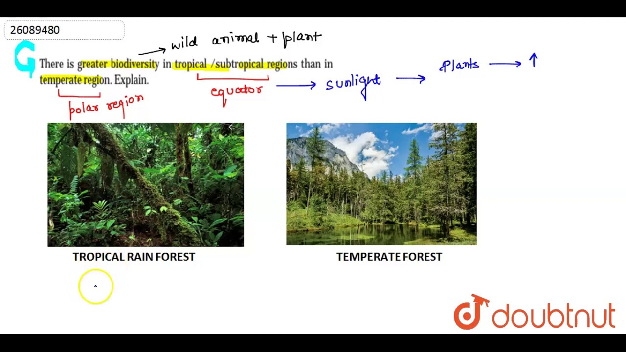 There is greater biodiversity in tropical/subtropical regions than in ...