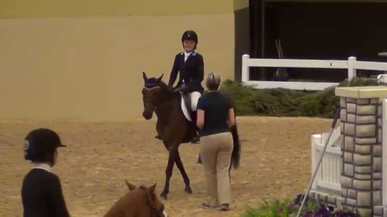 2014 US National Pony Jumper Championship - YouTube