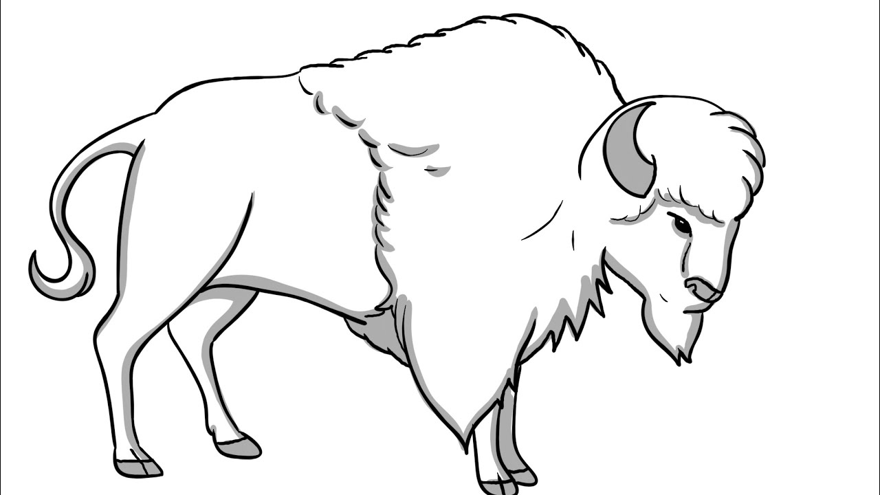 How to Draw A BISON Step by Step for Kids - YouTube