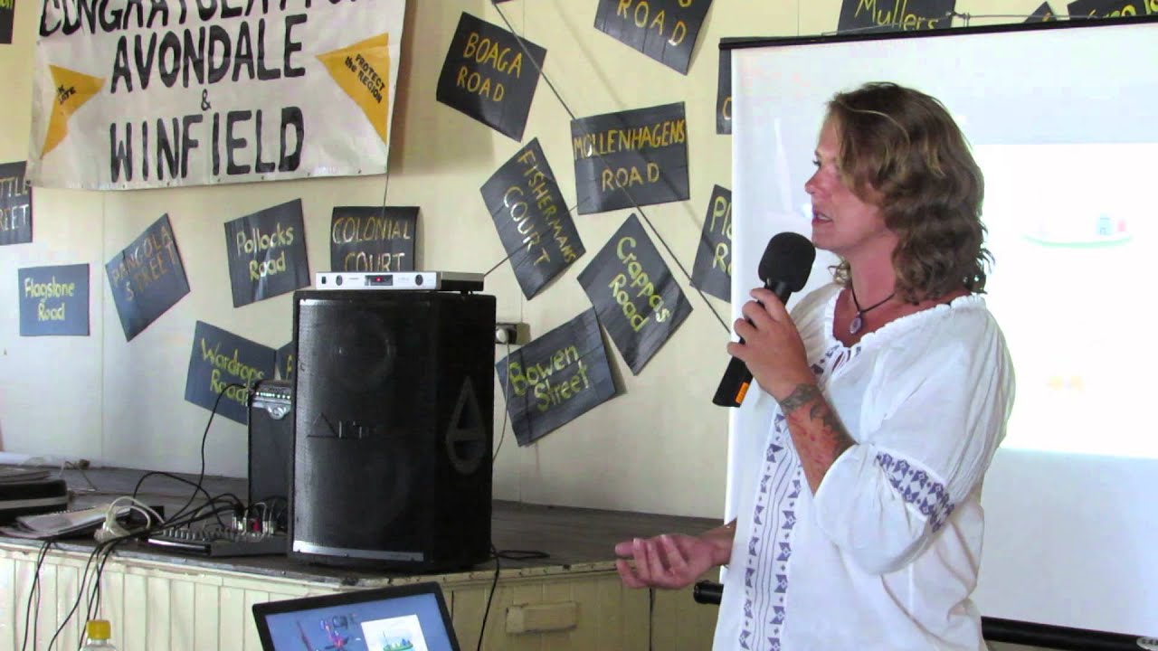 Vicki Perrin speaks at the Avondale and Winfield Declaration Day - YouTube