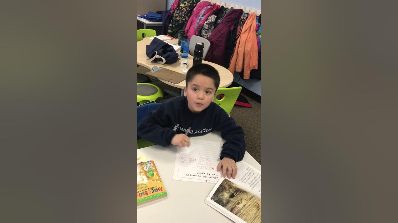 The green fern zoo -termites - YouTube