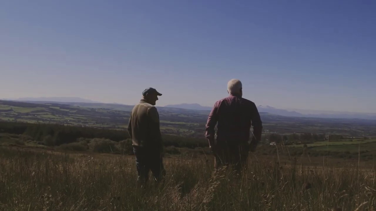Hen Harrier Project, Farming for Conservation in the Irish Uplands ...