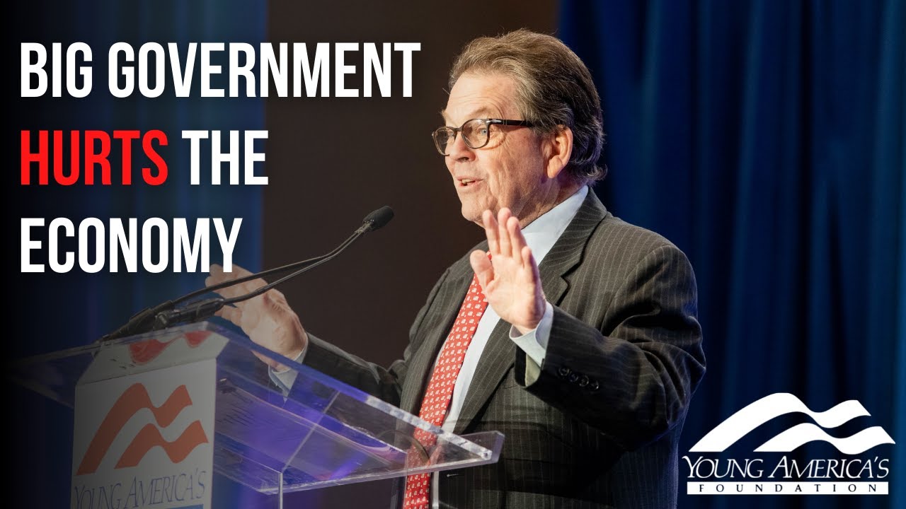 NO BIG GOV: How Government Intervention Hurts the Economy More Than It ...