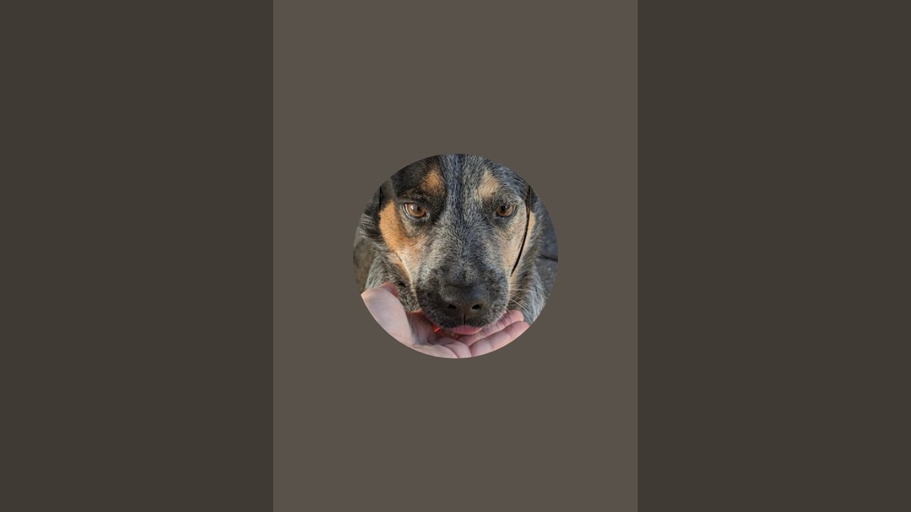 ProtoVex is live, join link in desc - YouTube