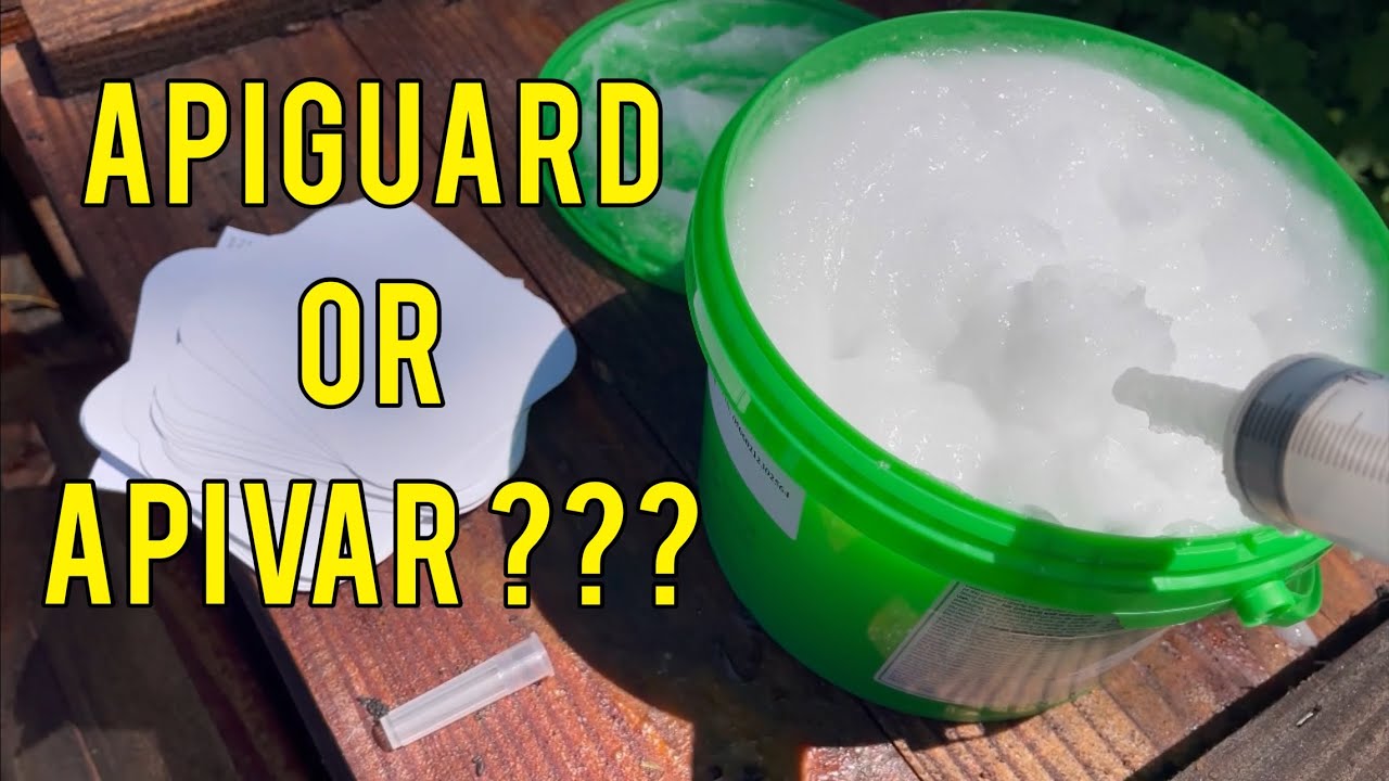 ApiGuard or Apivar……How about Both? - YouTube