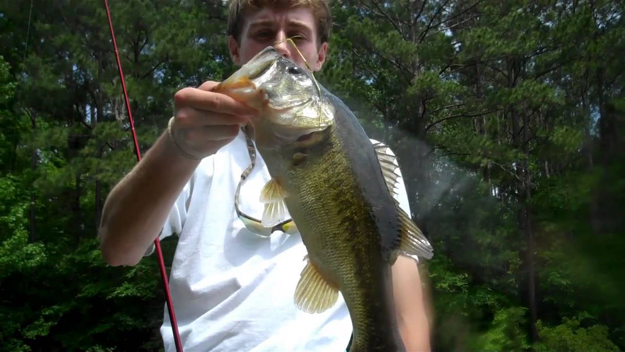 Lake Pinkston Bass Fishing with Senkos - YouTube
