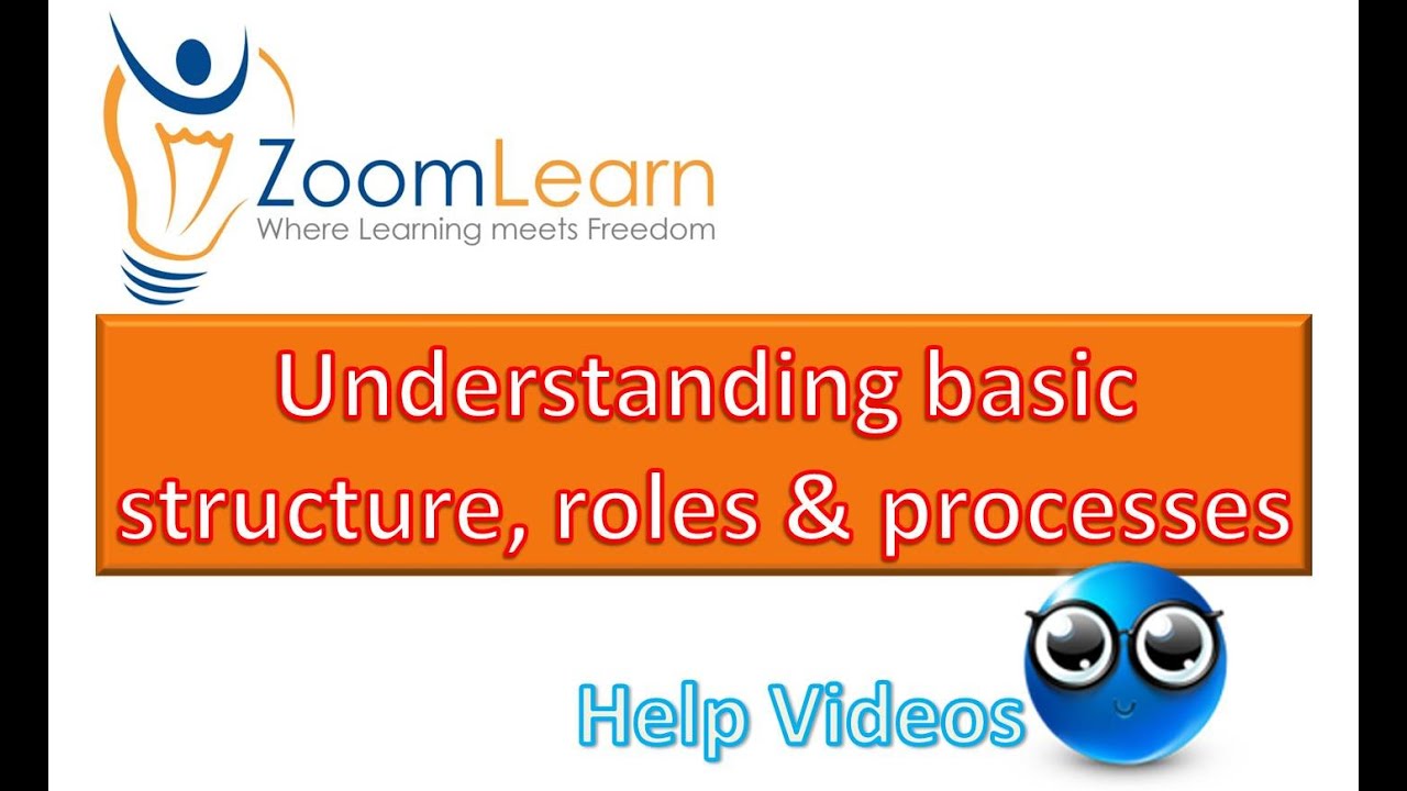 Understanding ZoomLearn 101 - YouTube