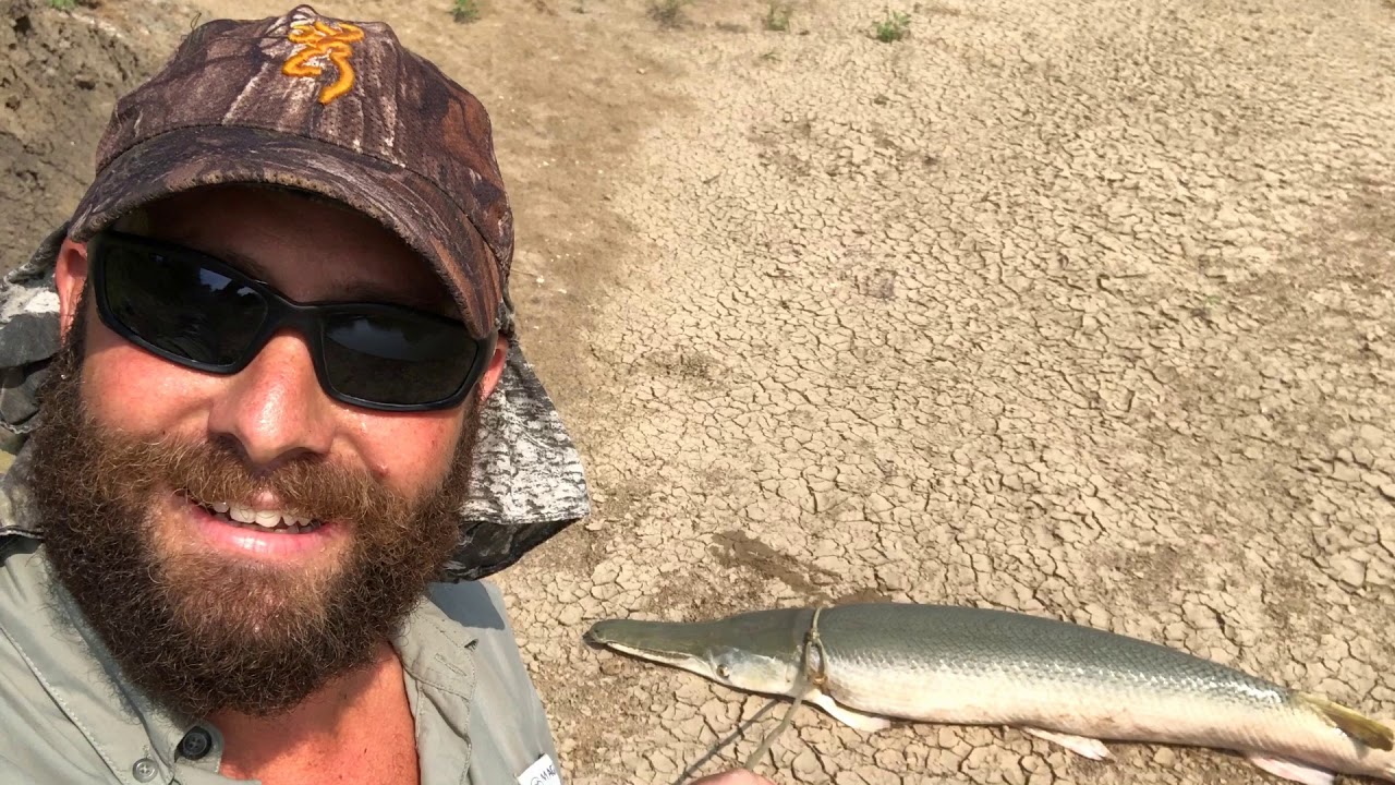 Texas Jungle- Back Yard Moments(my first commercial) click on the fish ...