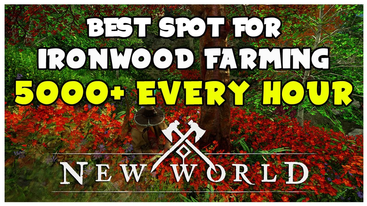 Best Ironwood Farming Spot 5000+ Every Hour! | New World Guide - YouTube