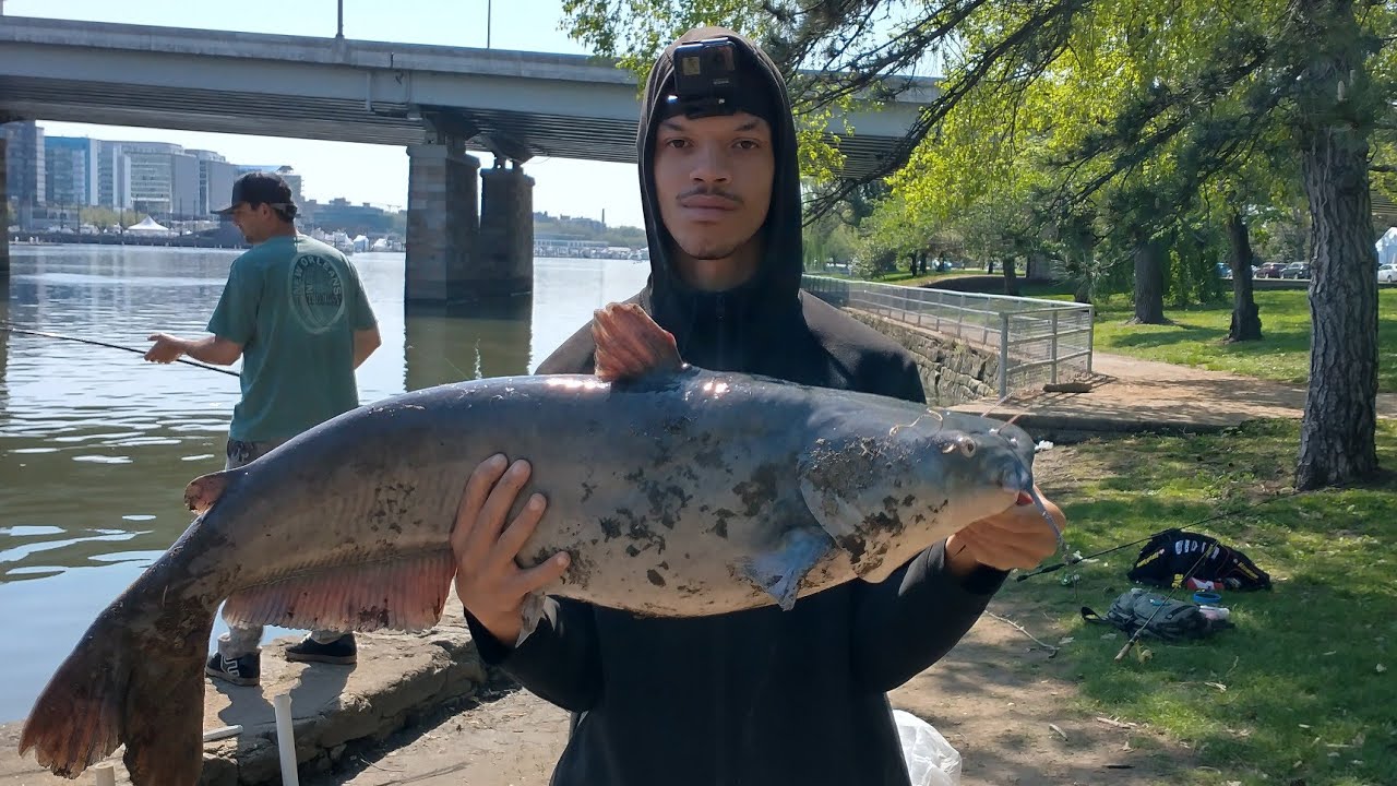 CATFISHIN' AND BASSIN'..... FISHING THE WASHINGTON CHANNEL IN ...