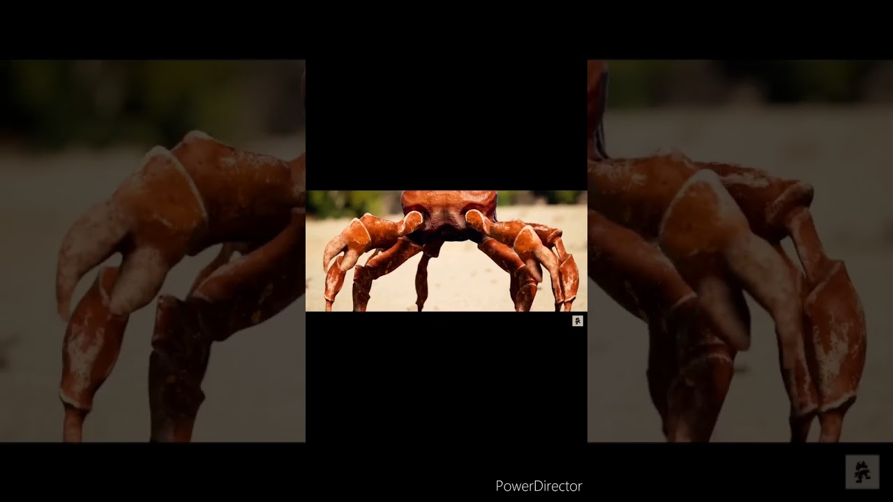 CRAB MASTER (trailer) - YouTube