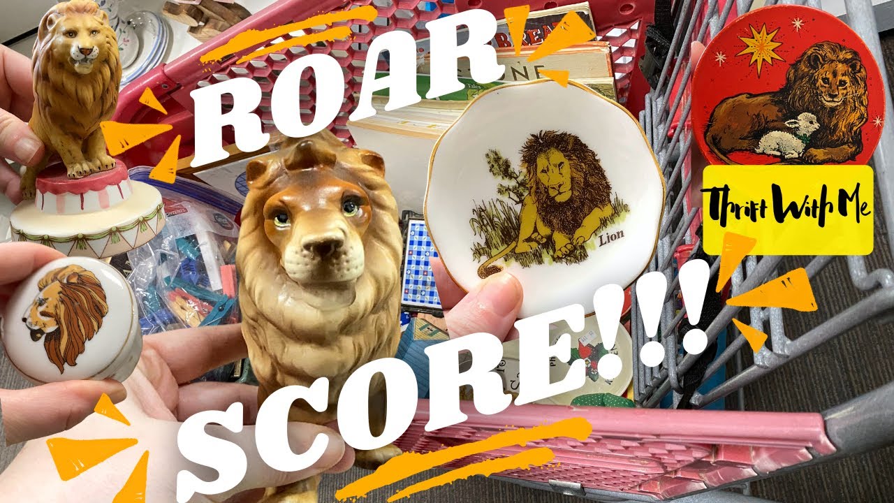 SCORE Thrifting AND Found THE BEST Collection EVER | THRIFT WITH ME ...