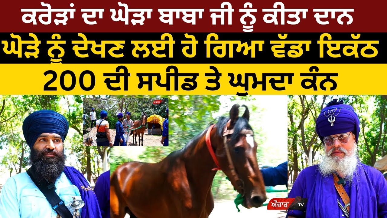 ਕਰੋੜਾਂ ਦਾ ਘੋੜਾ ਕੀਤਾ ਦਾਨ Baba Raja Raj Singh ਨੂੰ ਘੋੜਾ ਦੇਖਣ ਲਈ ਹੋ ਗਿਆ ...