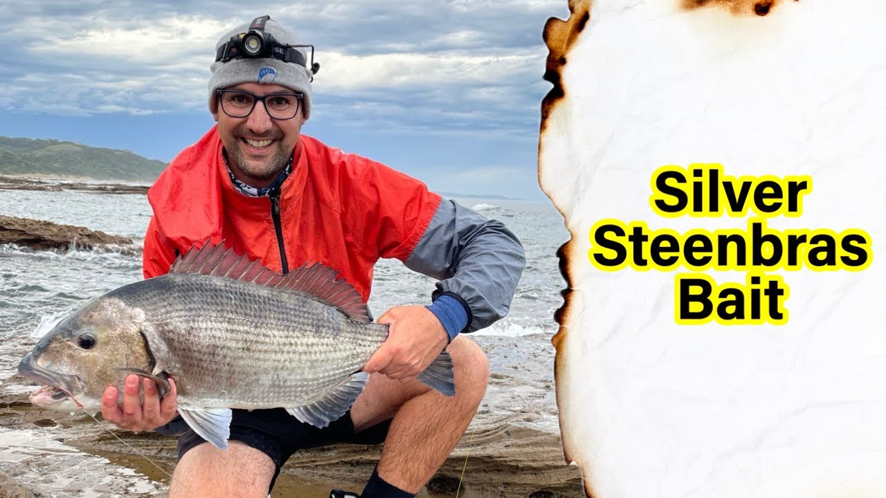 Bait Demo: Silver Steenbras | White Musselcracker | Brusher - YouTube