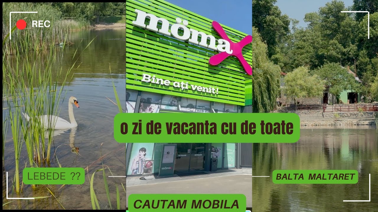 Vlog 7 Romania/Cautam mobila la Momax,aragaz la Altex/Mergem la Balta ...