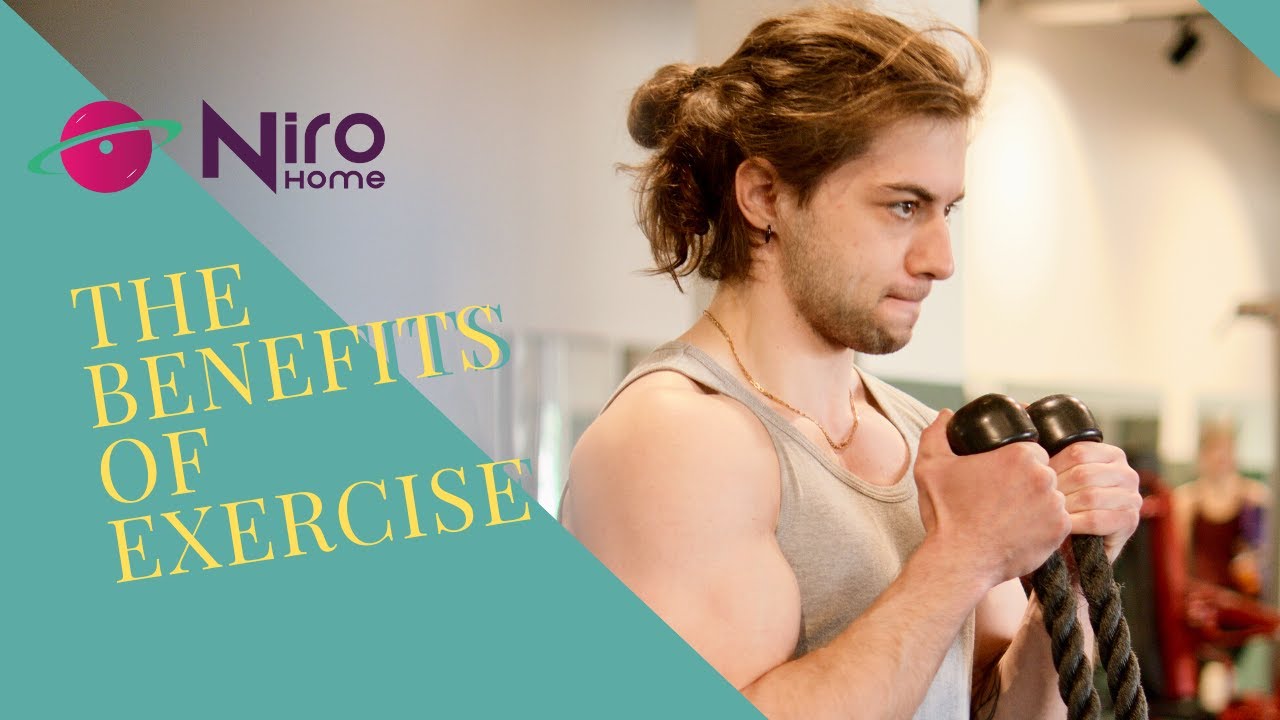 The Power of Exercise: Why Physical Activity Is Key to a Healthy Life ...