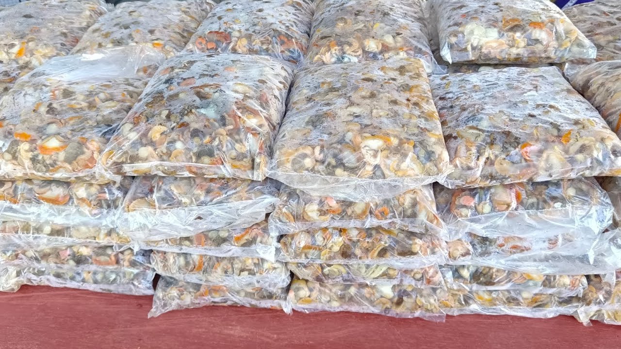 Isi kerang rebus viral Semporna Sabah #tahir #kerang #semporna #sabah # ...