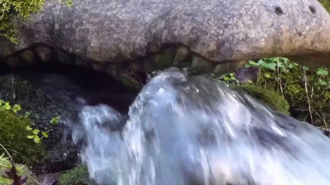 The Crocodile Spring at Compton Abdale, Glos, UK - YouTube