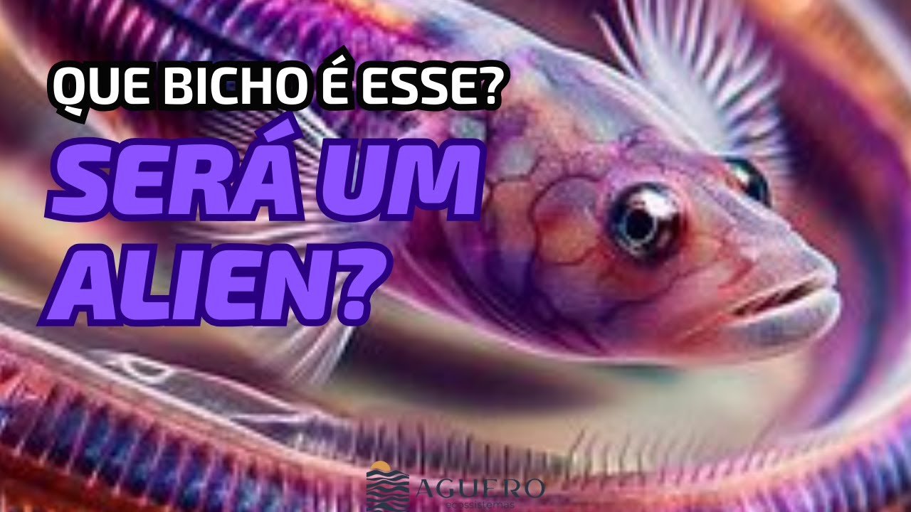 Até parece um SER de OUTRO MUNDO, mas não, é o PURPLE EEL GOBY! - YouTube