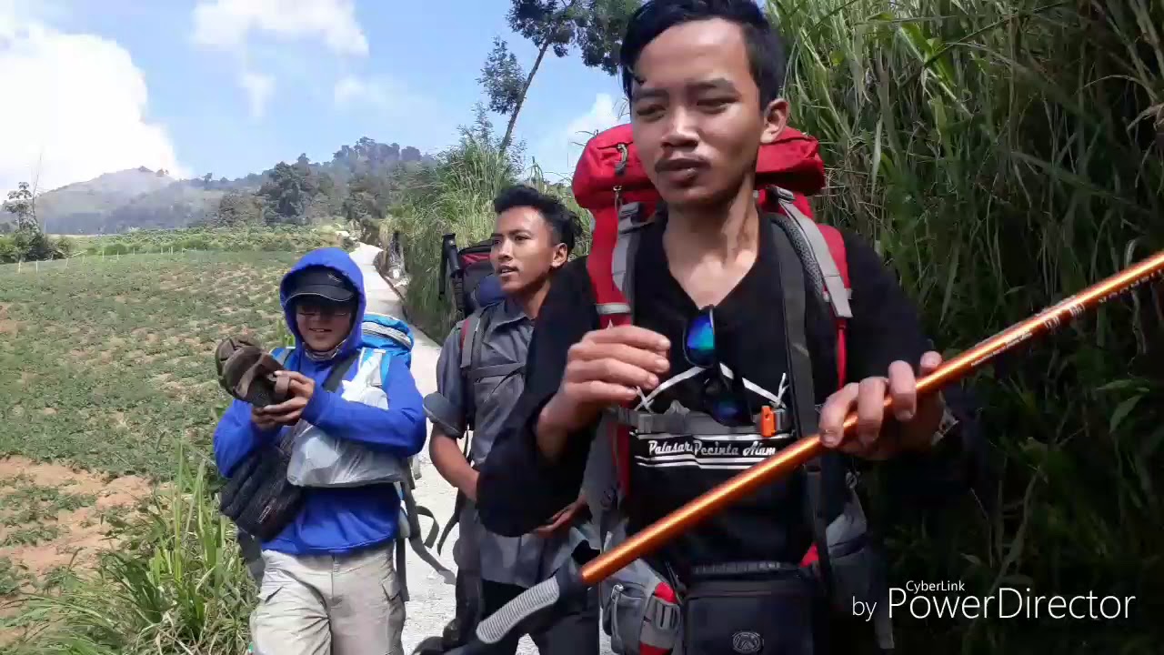 Wik wik wiw - YouTube