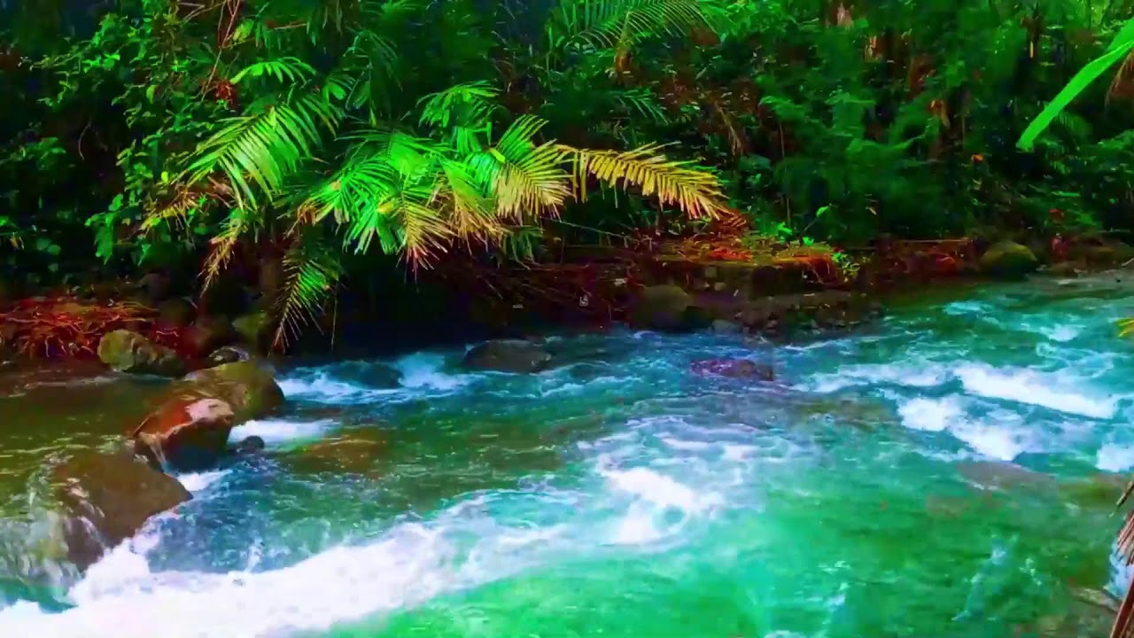 Calm River Flow Sounds for Deep Healing Water Ambience for Study for ...