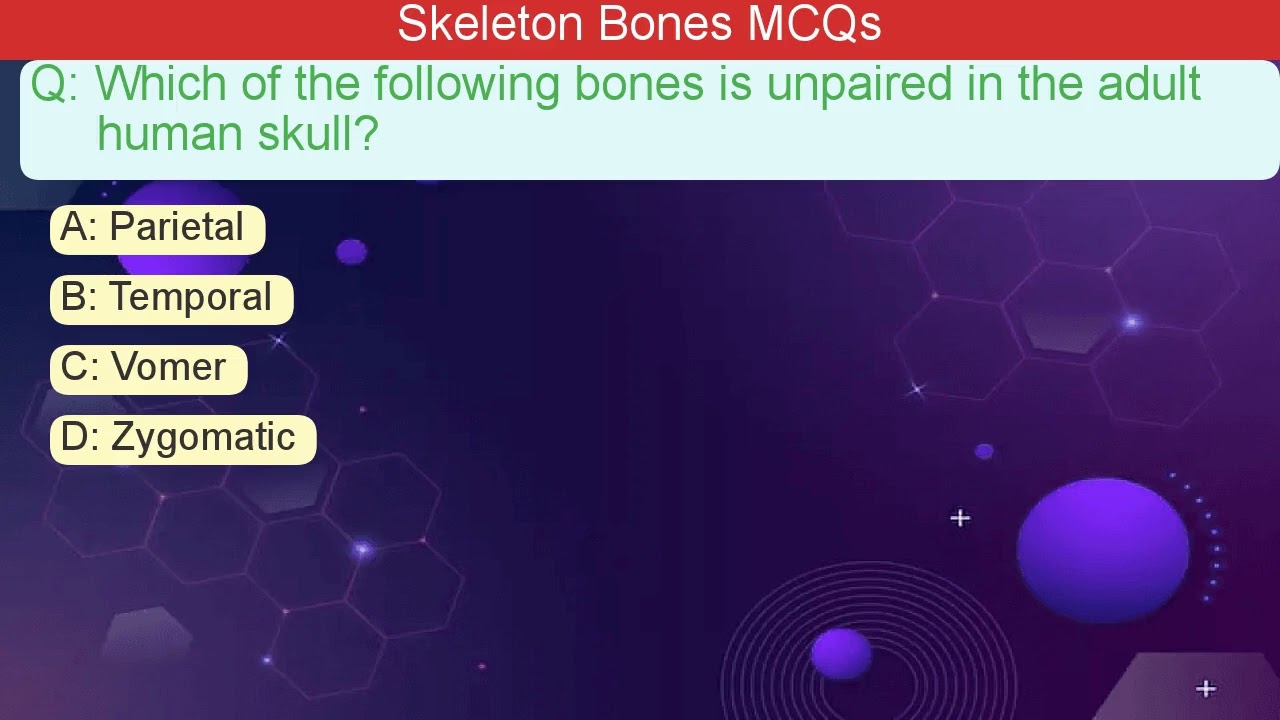 Ultimate Bone Tissue Quiz: Are You an Anatomy Pro? Find Out ...