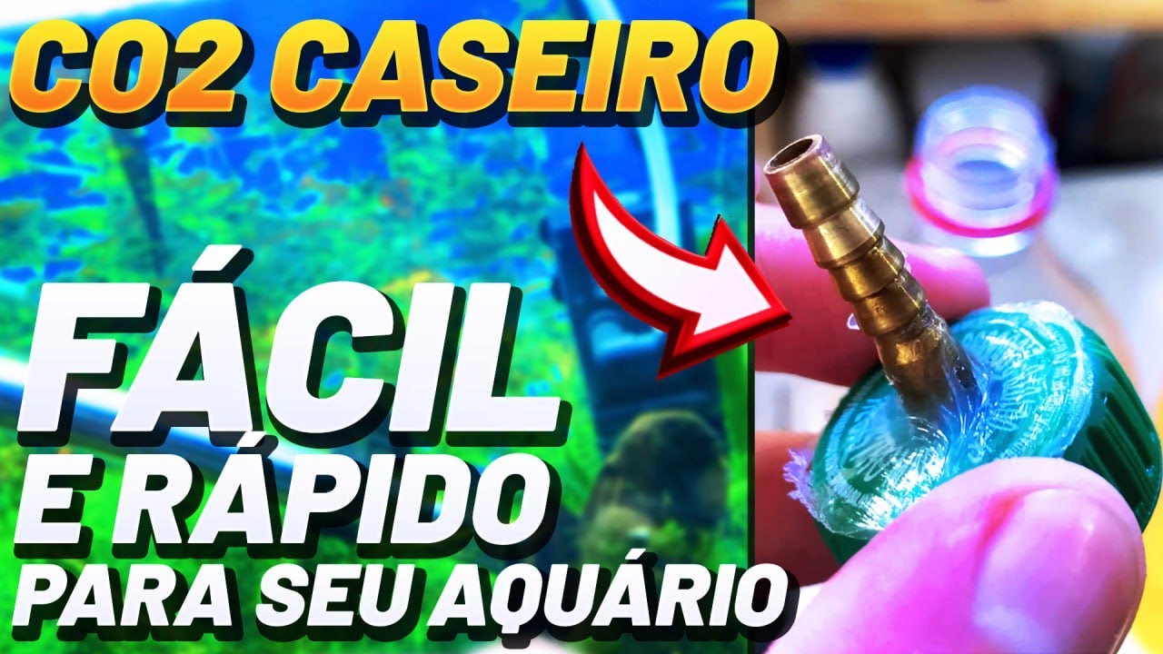 COMO FAZER CO2 CASEIRO PARA AQUÁRIO COM PLANTAS LOWTECH E HIGHTECH ...