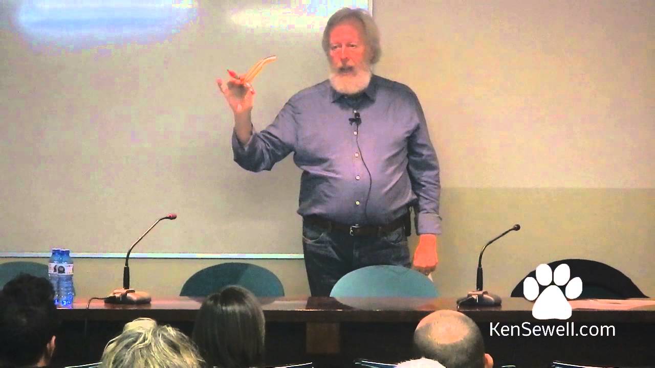 Las 7 capacidades que tienes y tu perro no - Ken Sewell - YouTube