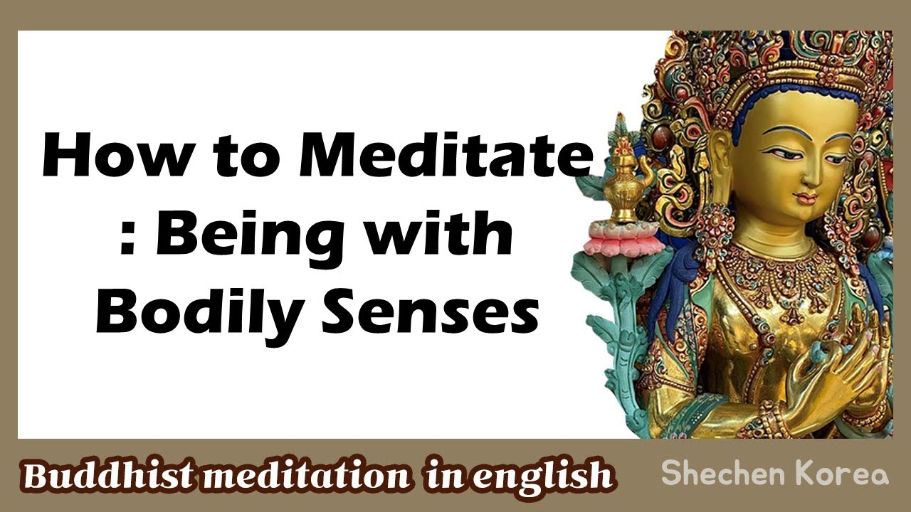 [Meditation in Eng, 영어로 배우는 명상 # 2-2] How to Meditate: Being with ...