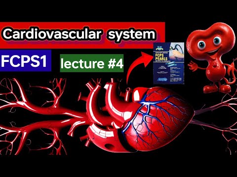 CVS Cardiovascular system 🛑 FCPS PART 1 LECTURE #4 #cvs #cardio # ...