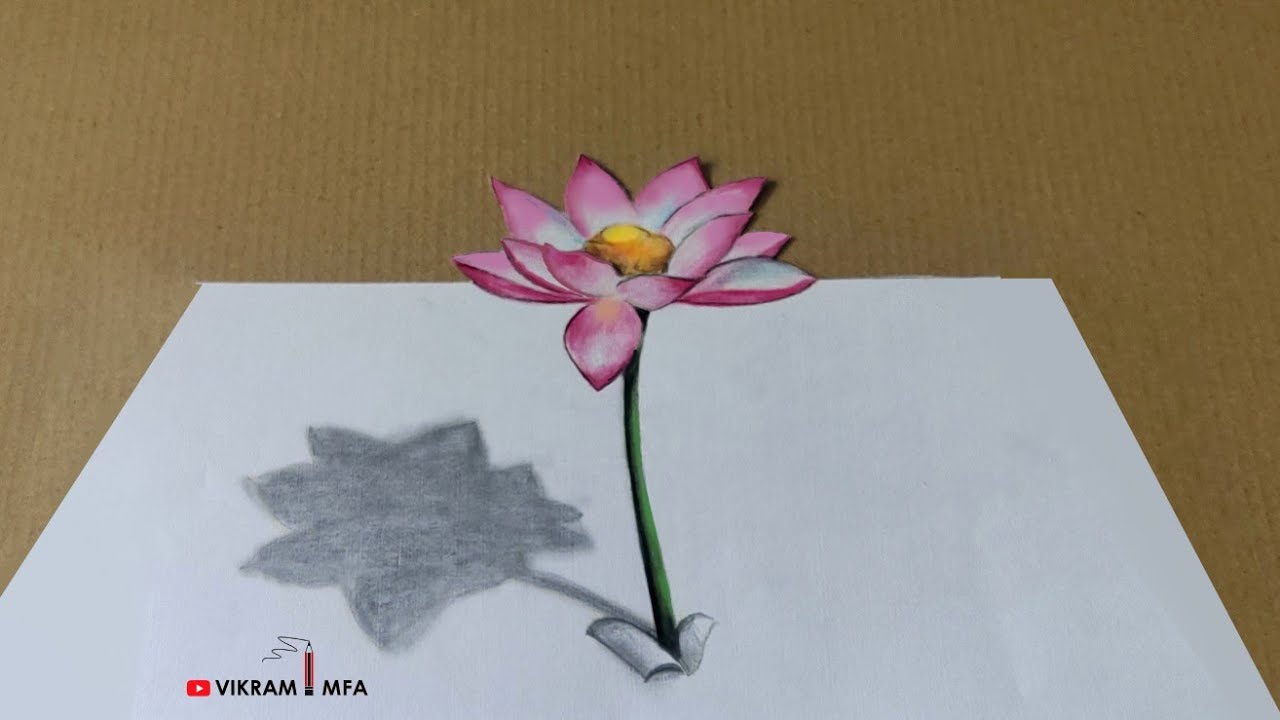 Drawing Flowers 3d Drawing