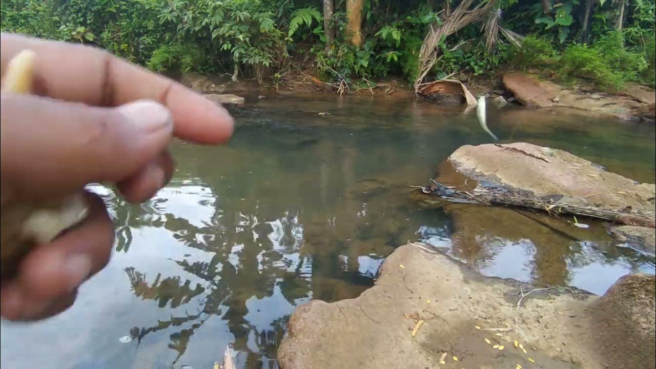 mancing ikan wader sambil ngabuburit. - YouTube