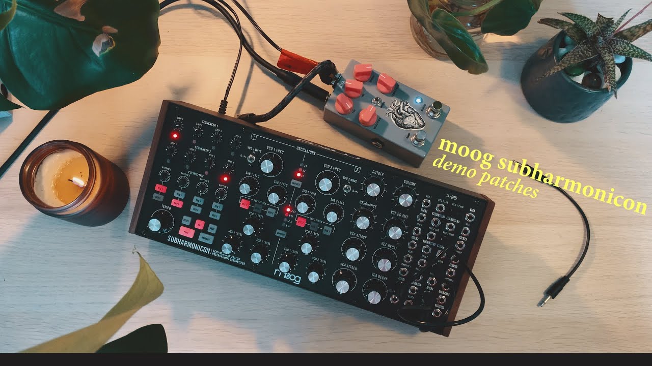 Moog Subharmonicon || demo patches - YouTube