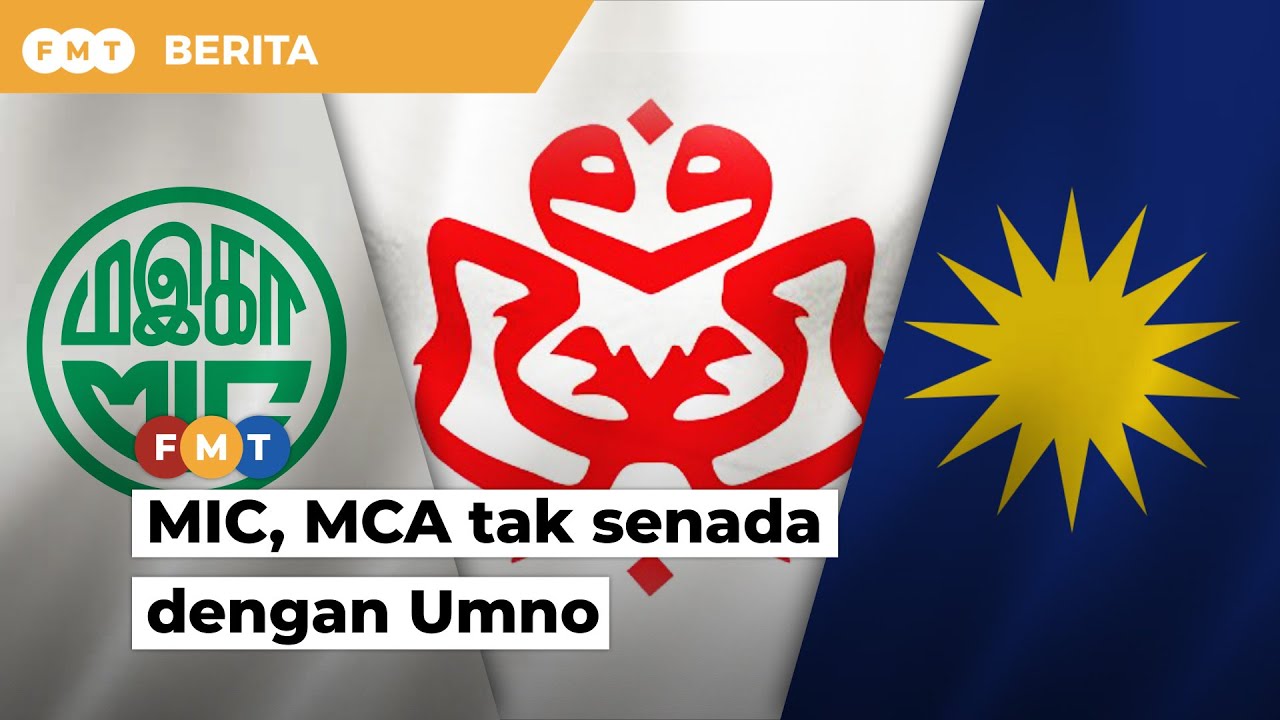 MIC tak ikut ’14 hari’ Umno, MCA seru proses harus ikut undang-undang ...