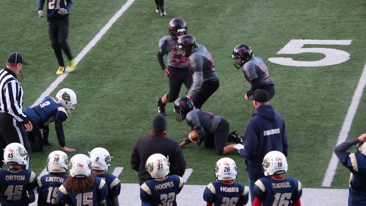11/2/2019 D1 West Albany Bulldogs vs Predators - YouTube