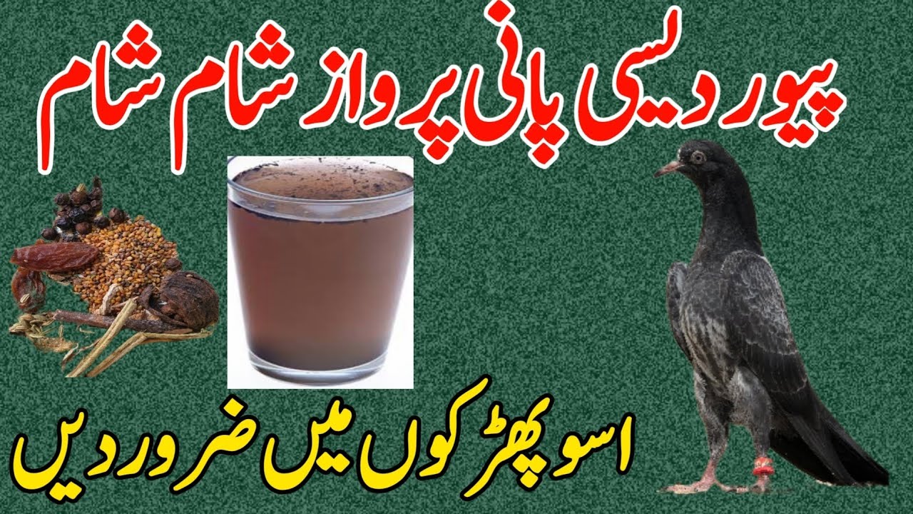 Piur desi pani parwaz sham sham - YouTube