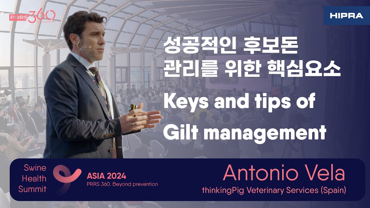 [24'히프라 ASIA S.H.S] 💁‍♂️ Antonio Vela - 성공적인 후보돈 관리를 위한 핵심요소 #hipra #swine #gilt - YouTube
