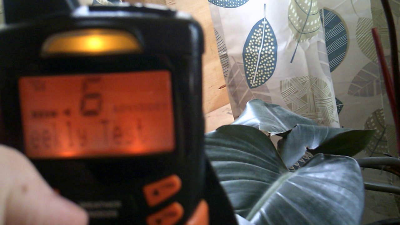 EAS weekly test - YouTube