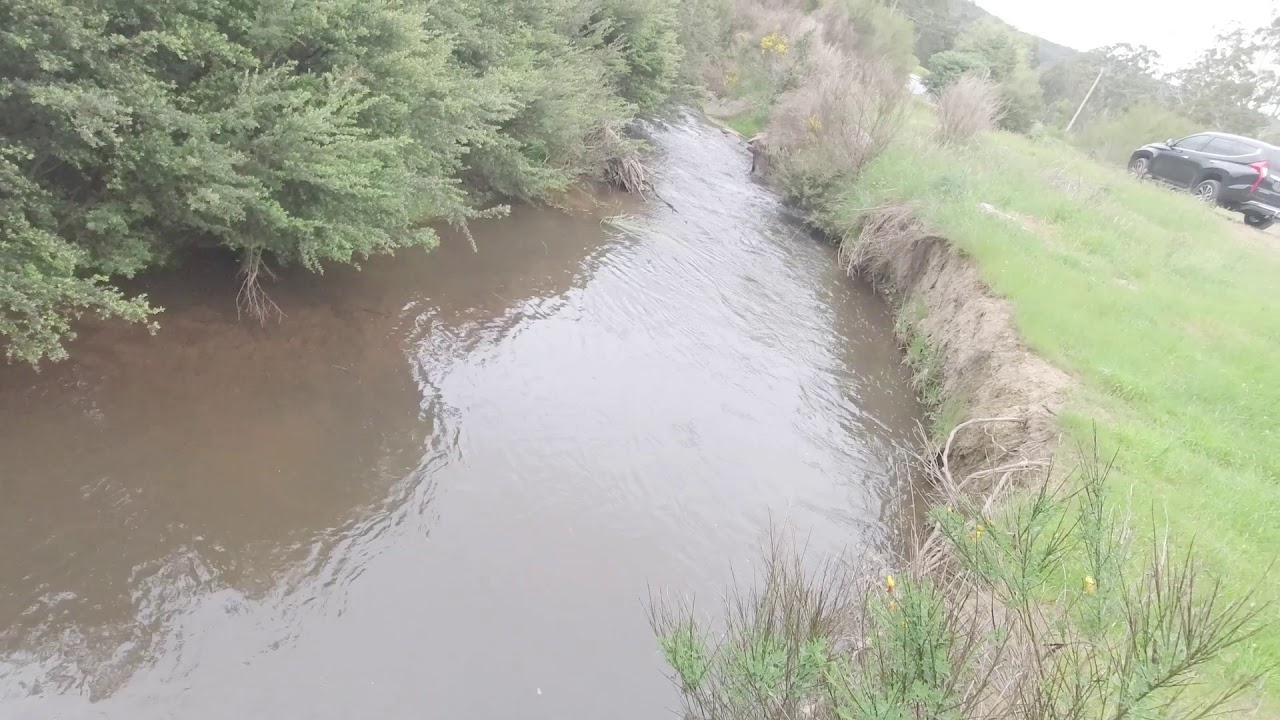 Oaks Day, Yea River 2019 Trout Fishing - YouTube