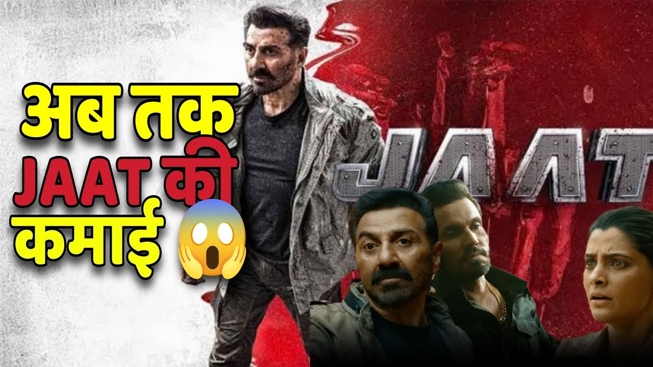 JAAT MOVIE की भारी भरकम कमाई | JAAT MOVIE | JAAT MOVIE Box office ...