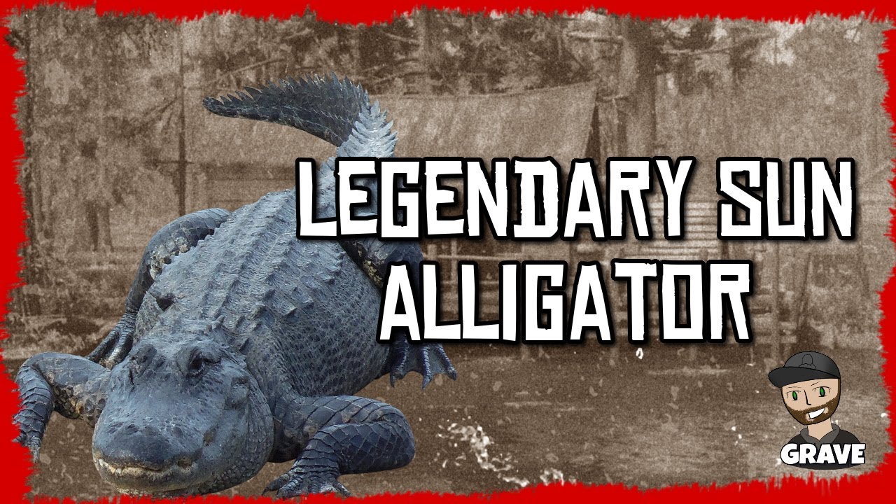 🐊Legendary Sun Alligator Location | Red Dead Online - YouTube