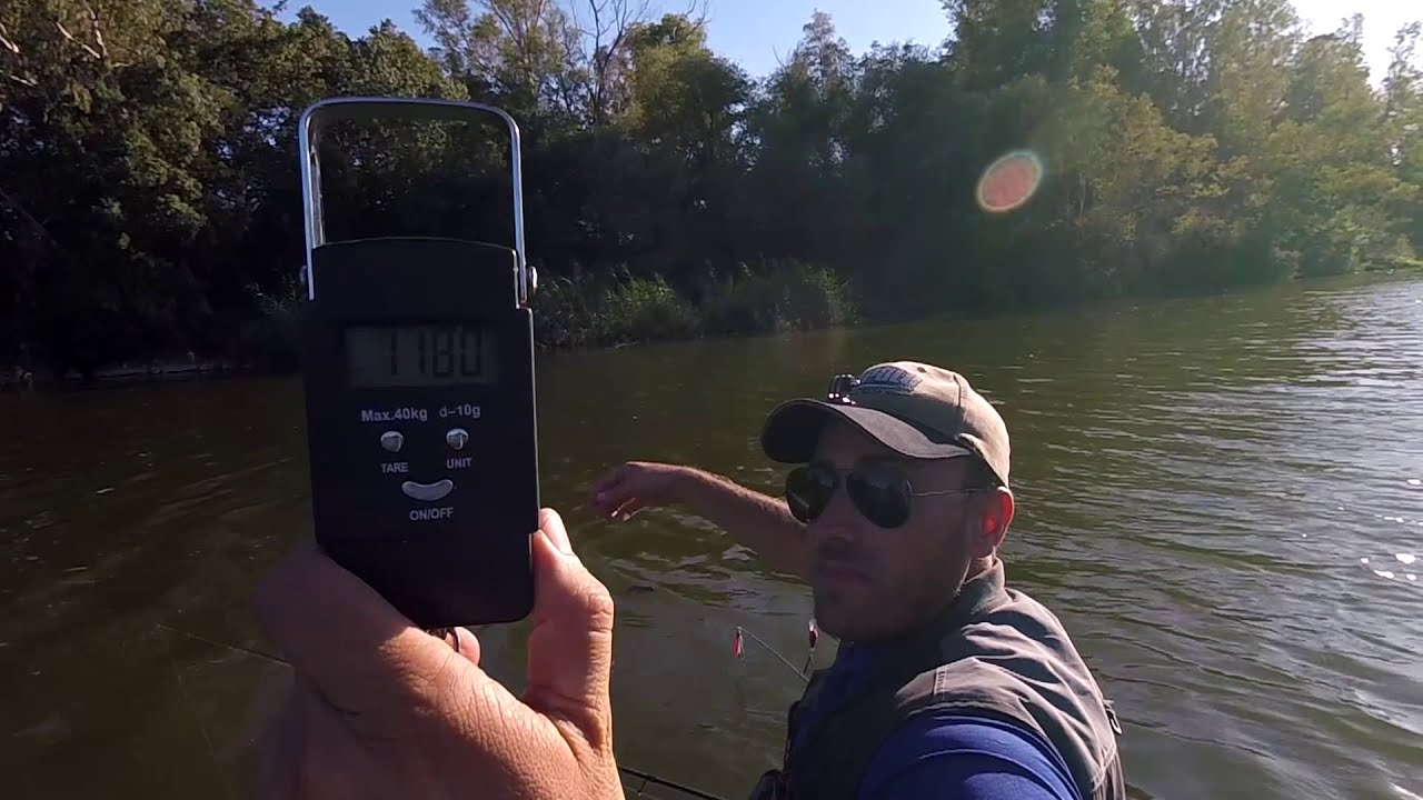 Pesca ao Achigã à Texas, RIO GUADIANA - YouTube